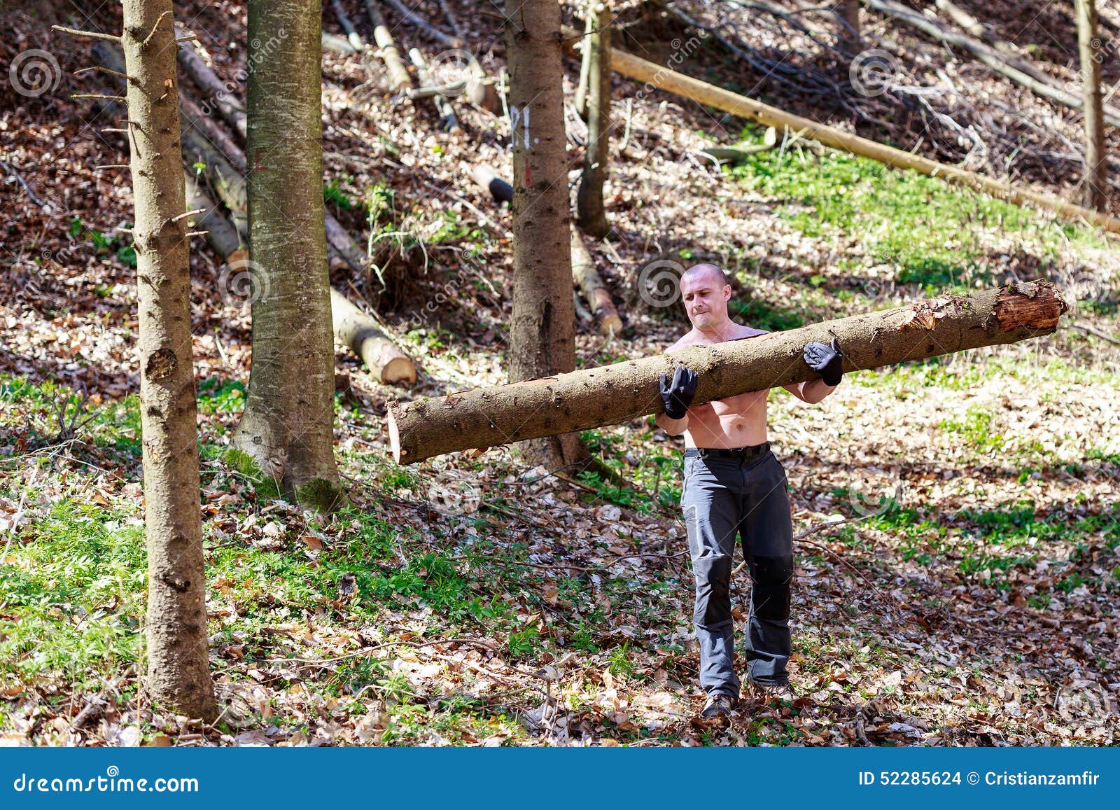 Strong Man Carrying a Tree Trunk Stock Photo - Image of hardworking ...