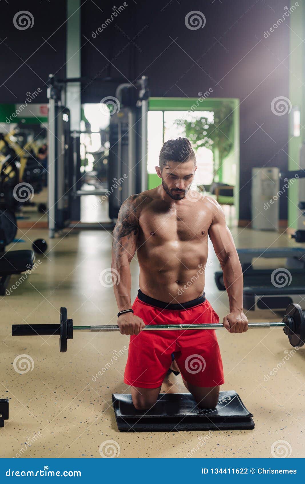 Strong Man in the Gym Doing Shoulder Exercises Stock Photo - Image of ...