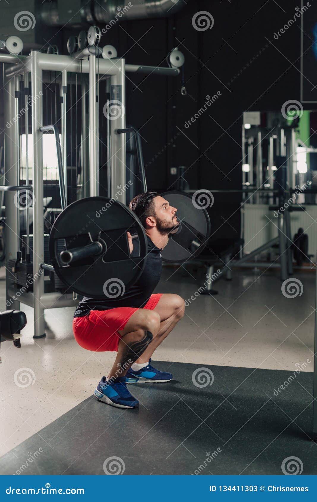 Strong Man in the Gym Doing Squats Stock Image - Image of muscle, male ...