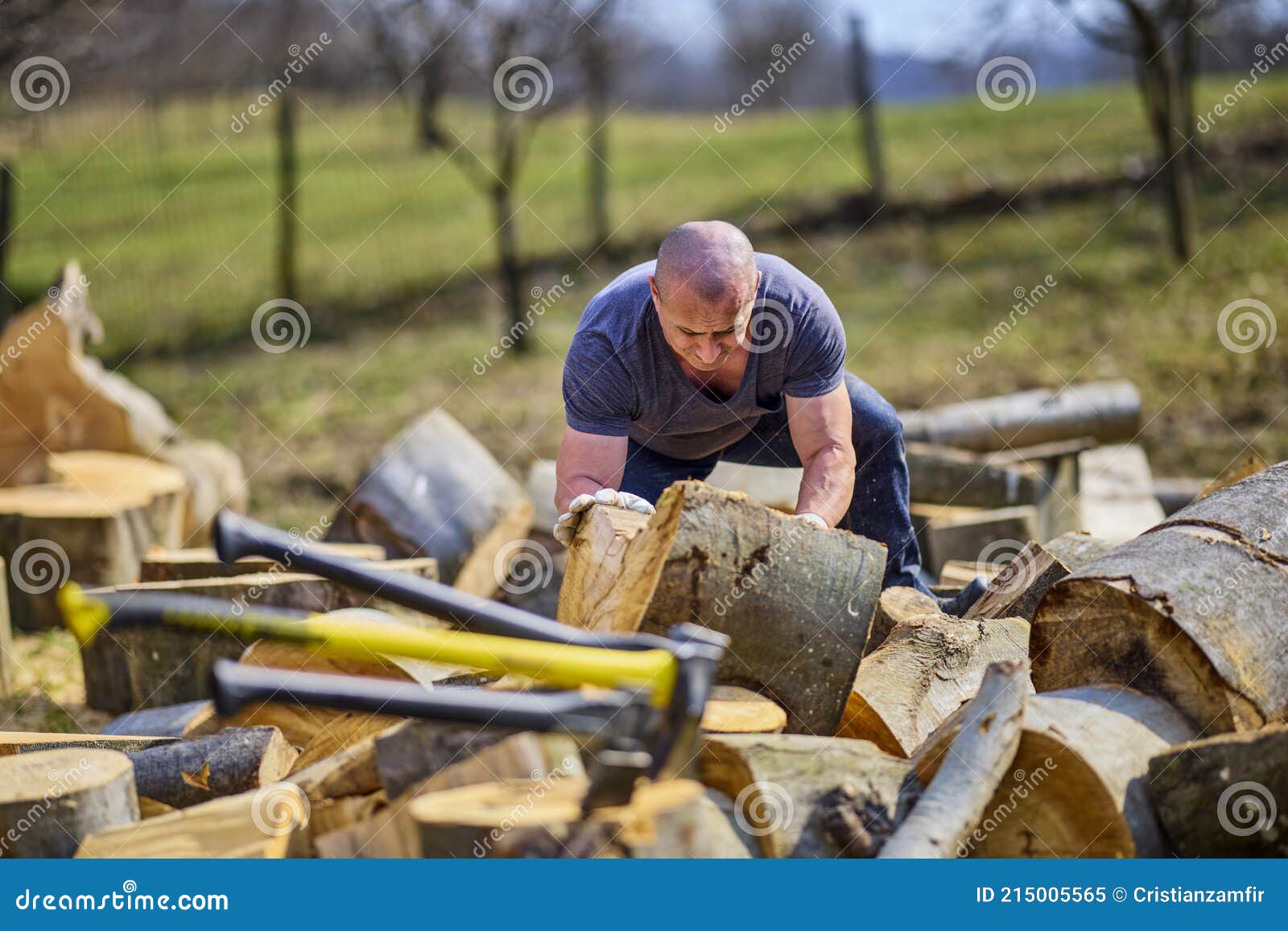 Strong Man Moving Big Cut Beech Stock Image - Image of lumber ...