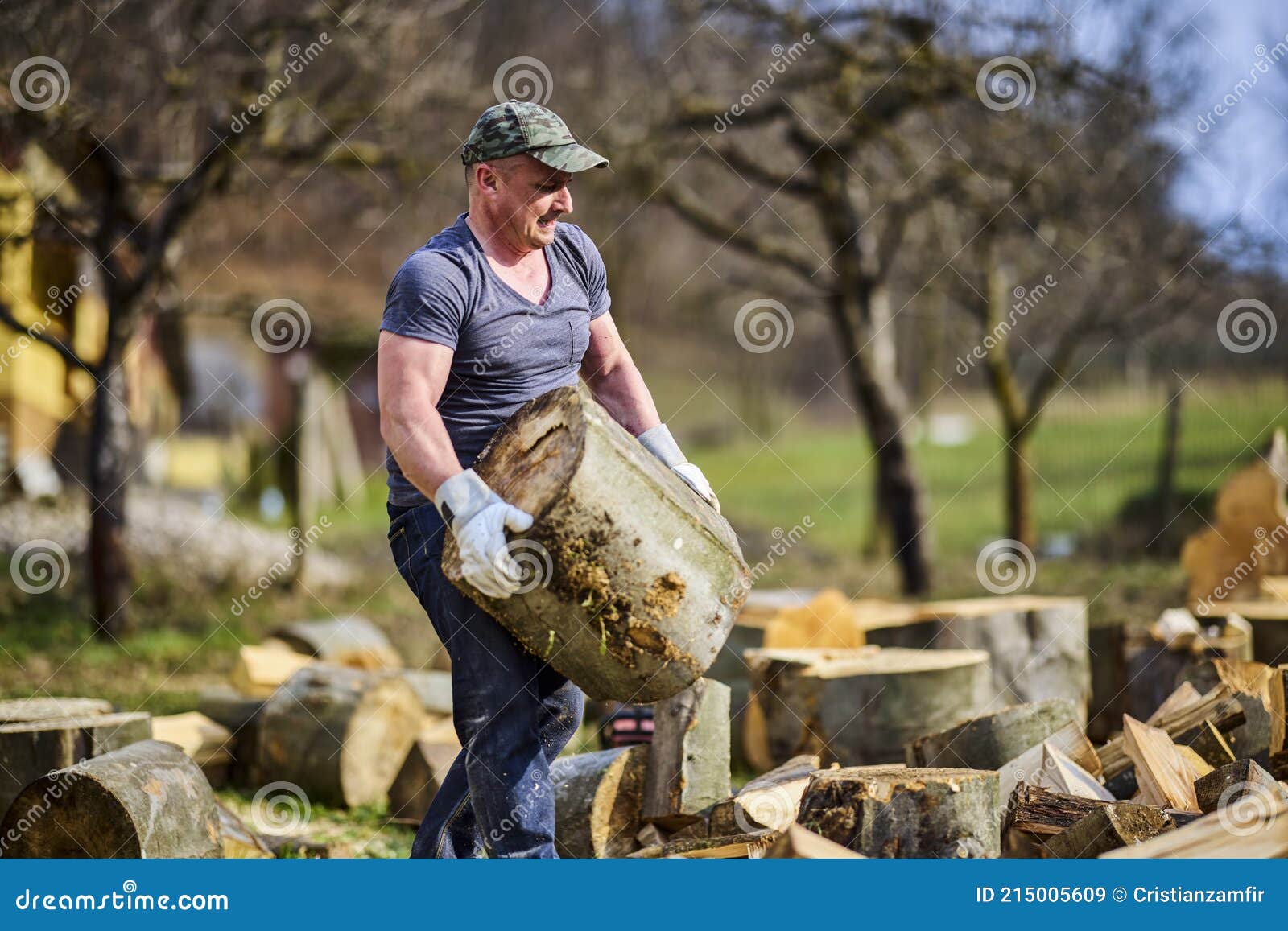 Strong Man Moving Big Cut Beech Stock Image - Image of timber ...