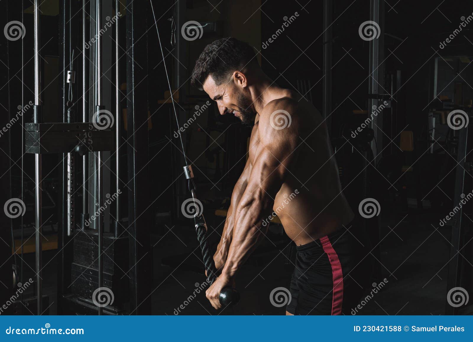 Strong Man Pulling from a Weigh Machine in a Gym Stock Photo - Image of ...