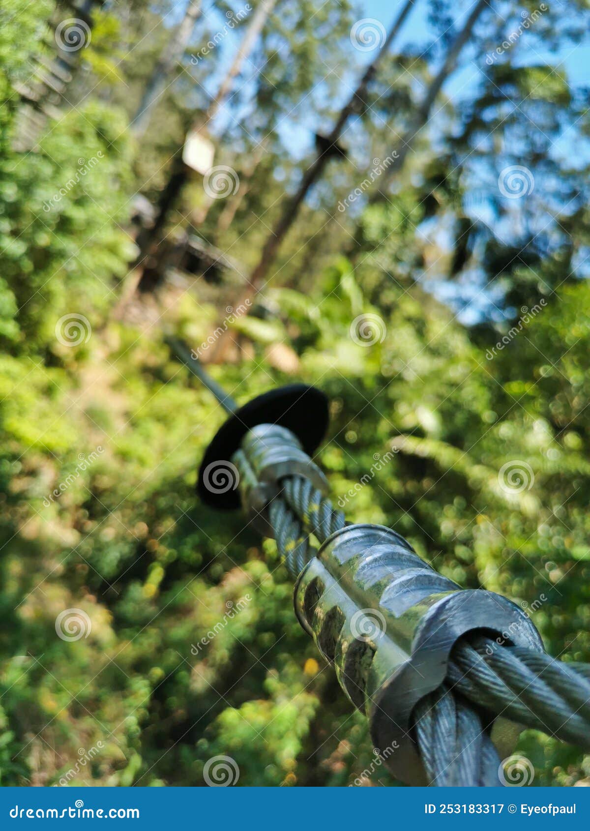 Strong Metal String Cable Connected between Trees for Gliding in Forest ...