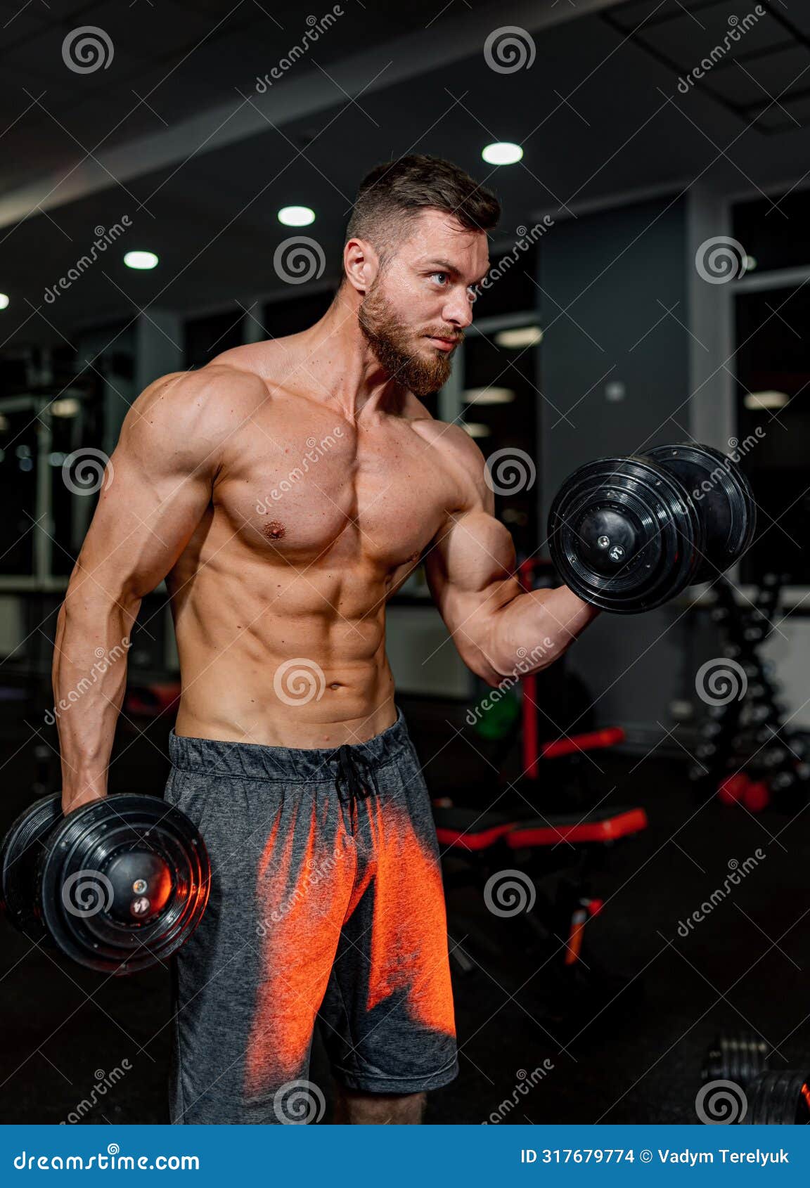 Strong Muscles Shirtless Man Training. Workout Athletic Bodybuilder ...