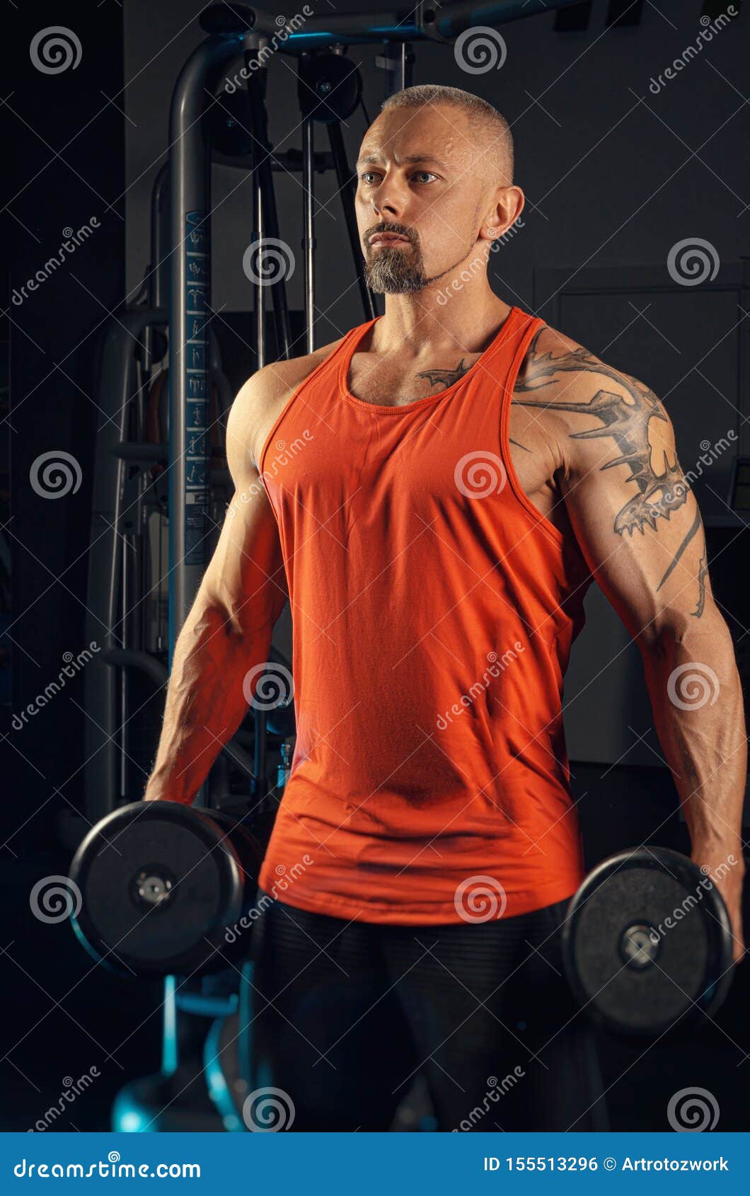 Strong Muscular Man Trains in the Gym Stock Photo - Image of beautiful ...