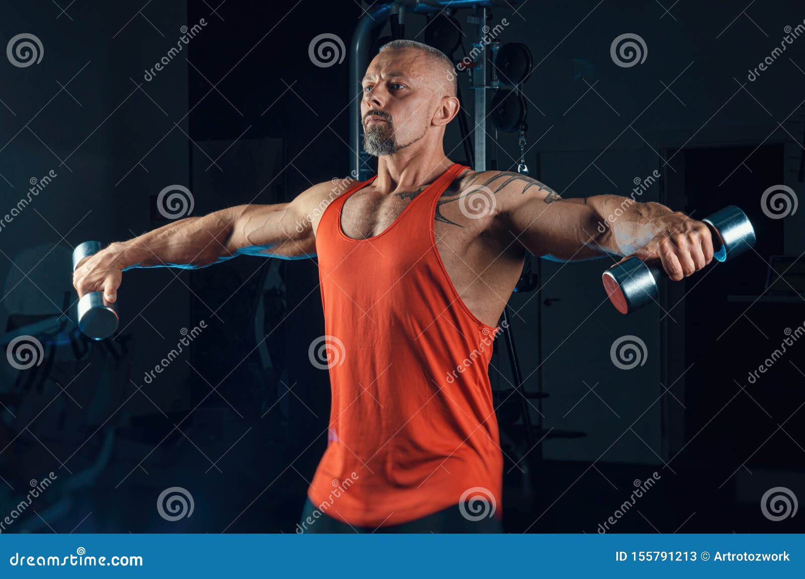 Strong Muscular Man Trains in the Gym Stock Image - Image of male ...