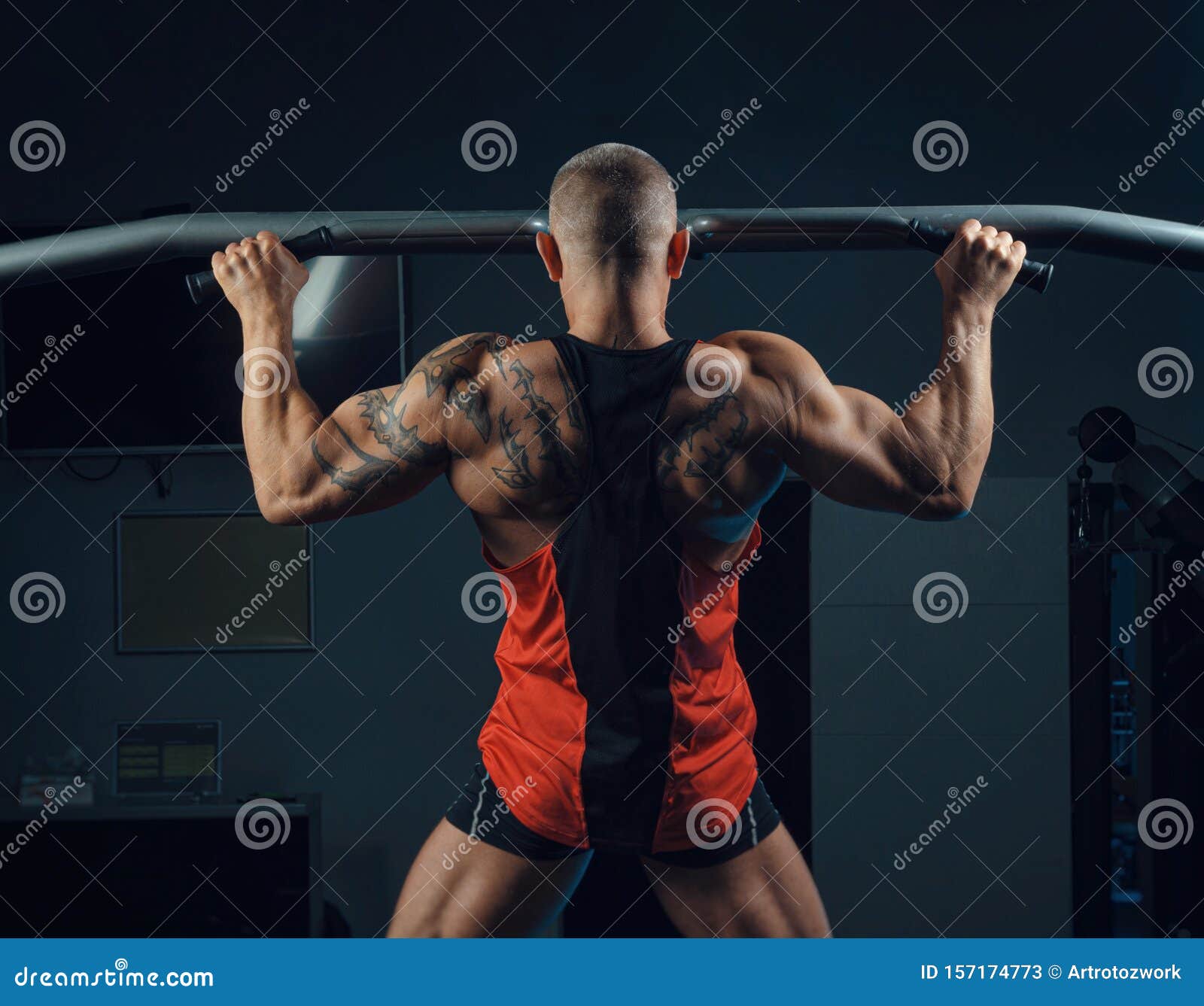 Strong Muscular Man Trains in the Gym Stock Image - Image of activity ...