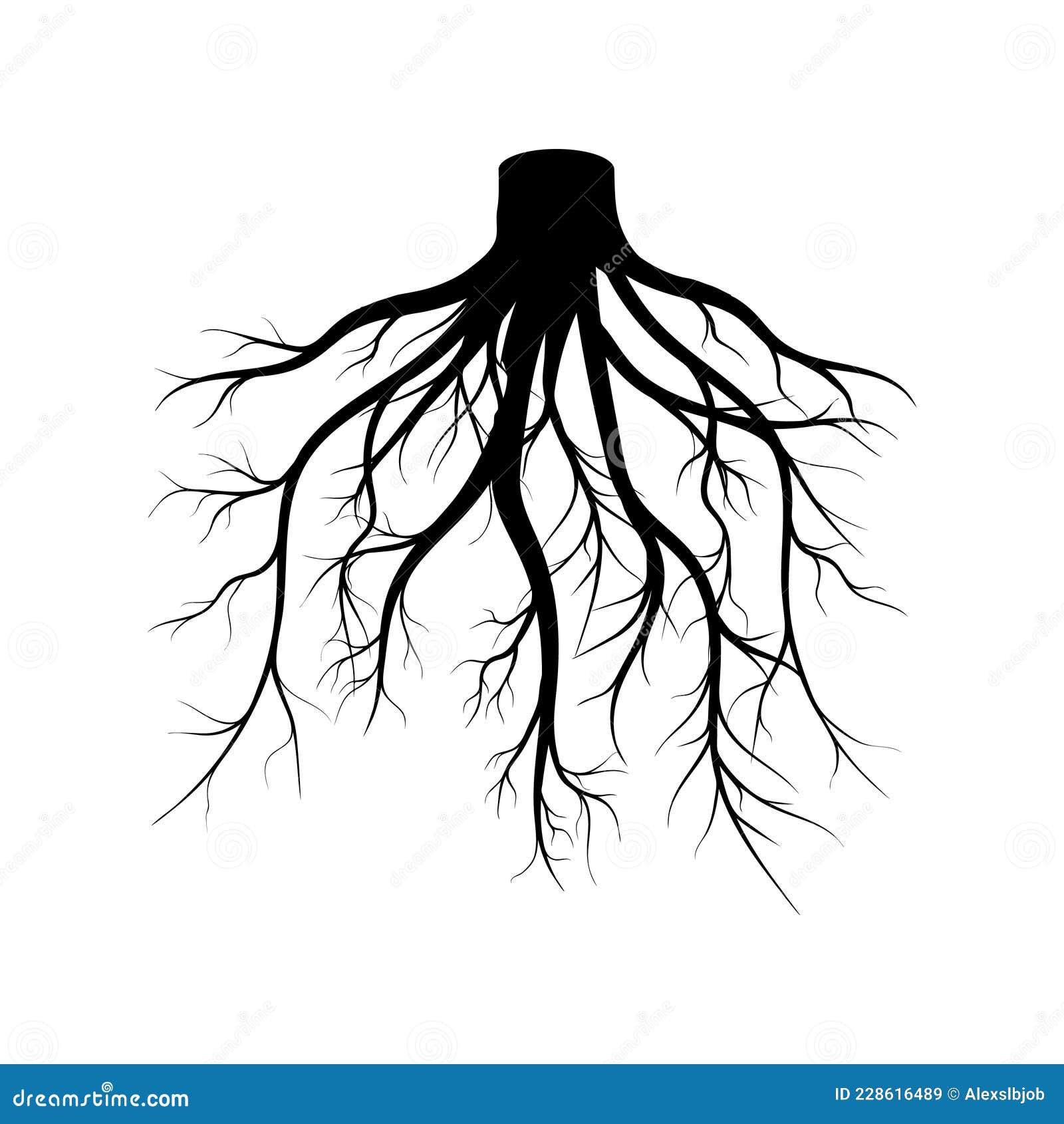 Strong Plant Roots Silhouette Against White Background Stock Vector ...