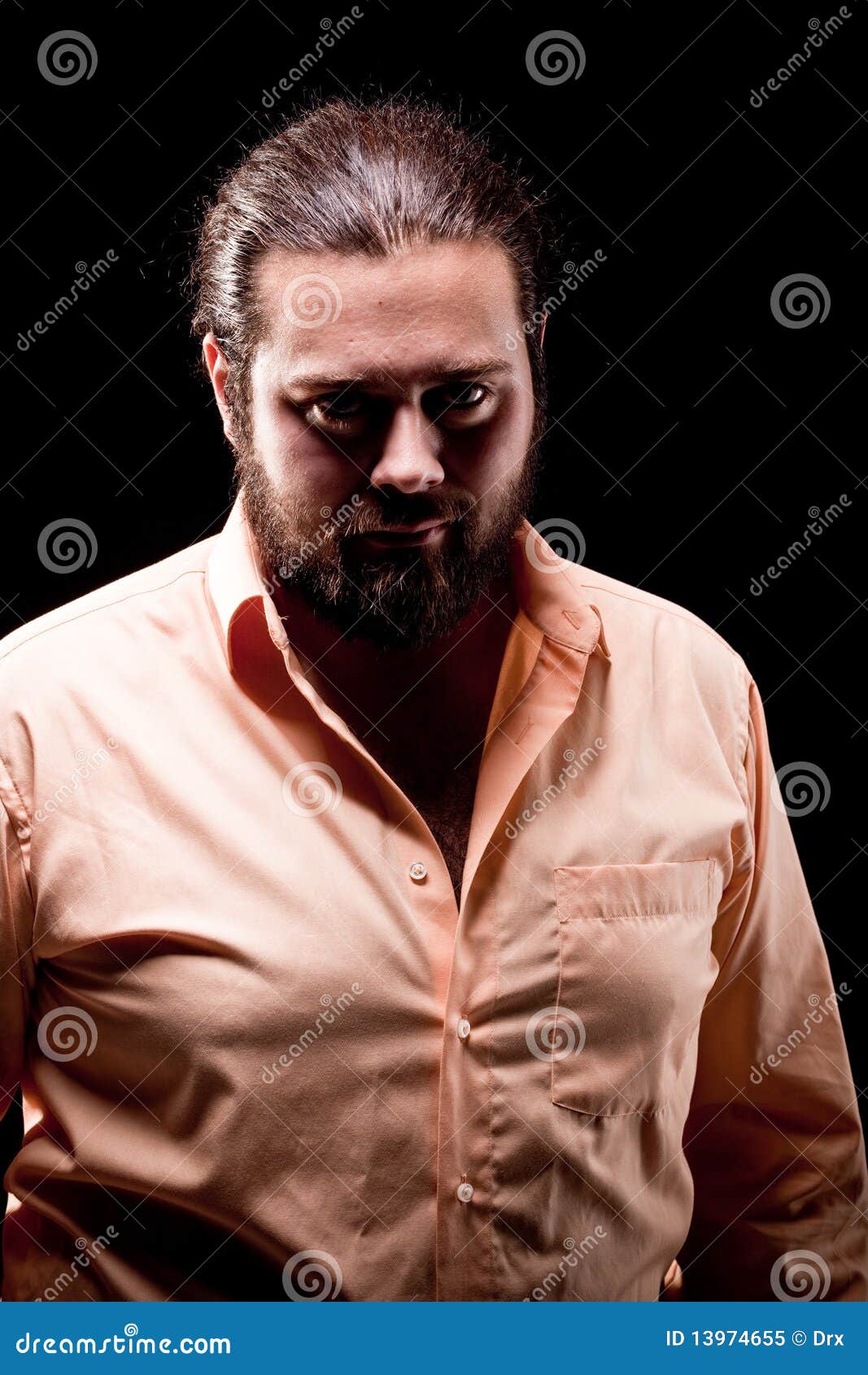 Strong Portrait stock image. Image of strong, portrait - 13974655