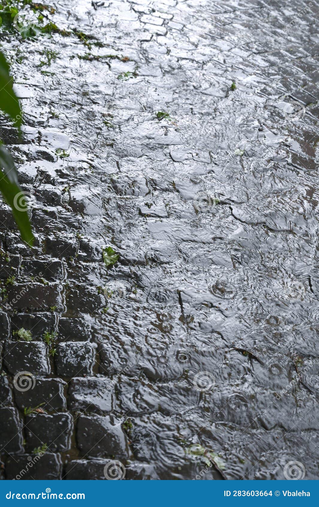 Strong rain in the city stock photo. Image of strong - 283603664