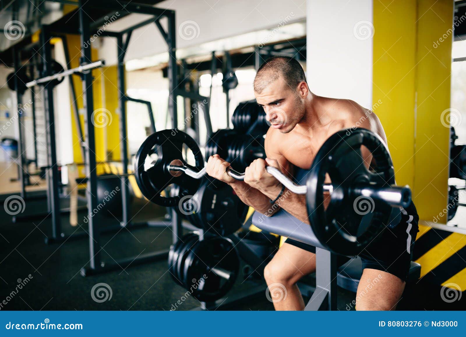 Strong Ripped Man Training in Gym Stock Photo - Image of person ...