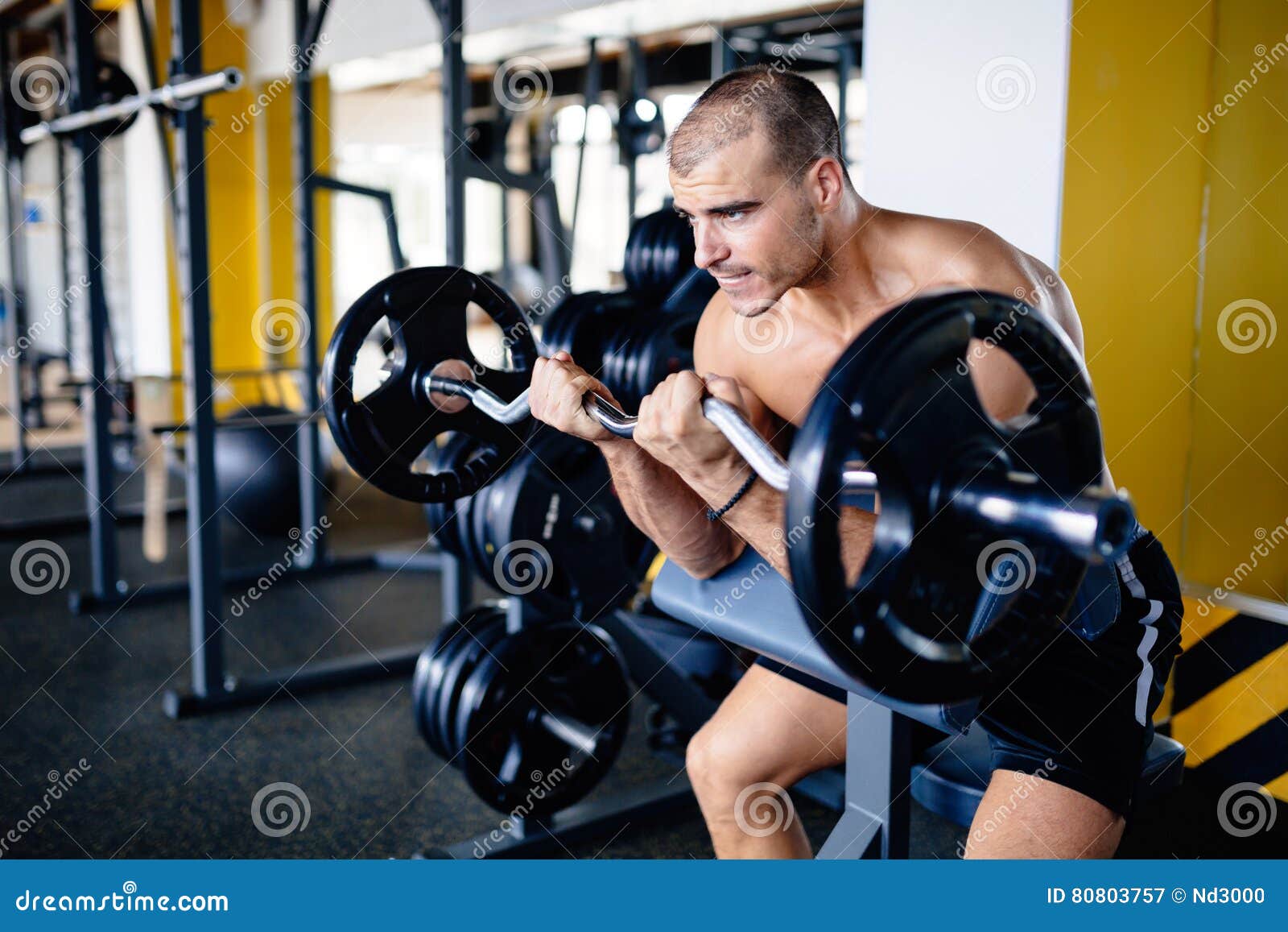 Strong Ripped Man Training in Gym Stock Image - Image of club, exercise ...