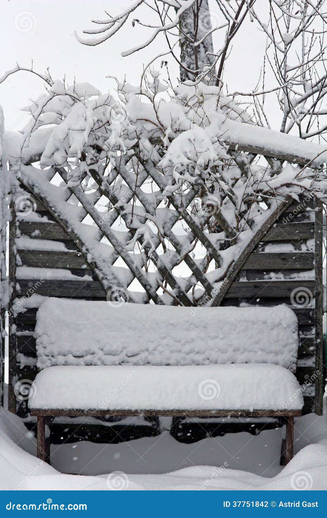 Strong snowfall stock photo. Image of flatly, freeze - 37751842