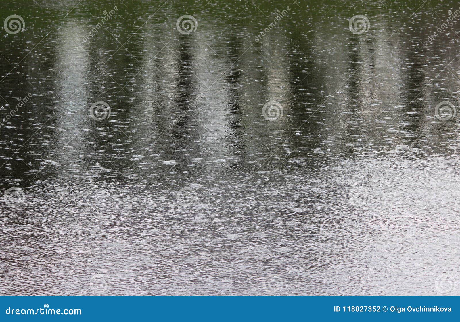 A Strong Summer Downpour on the Lake. Drops of Rain Fall into the Water ...