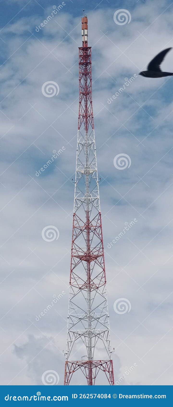 Strong Tower and Swallow Bird Cross the Sky Stock Photo - Image of bird ...