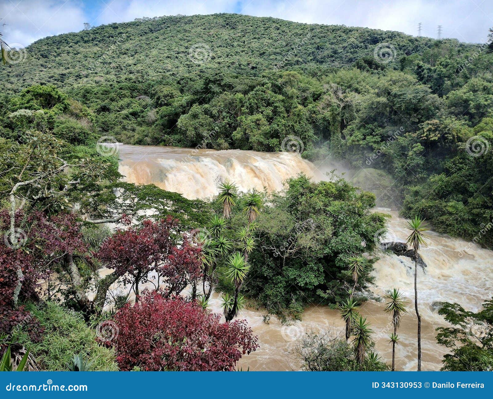 Strong Waterfall in the Middle of Nature Stock Image - Image of strong ...
