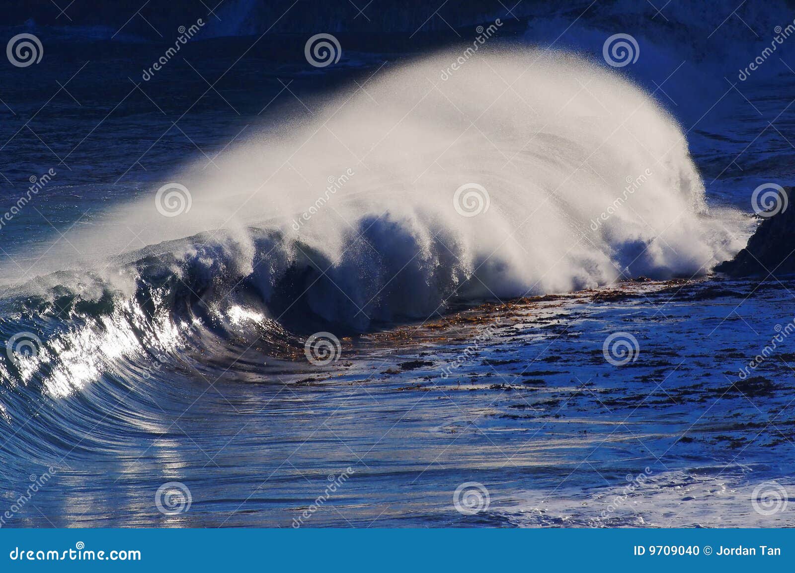 Strong waves stock photo. Image of splash, beach, curl - 9709040