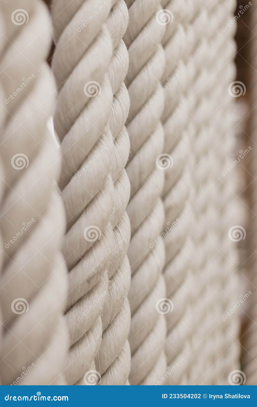 Strong White Ropes Weigh Upright on White Background Stock Photo ...