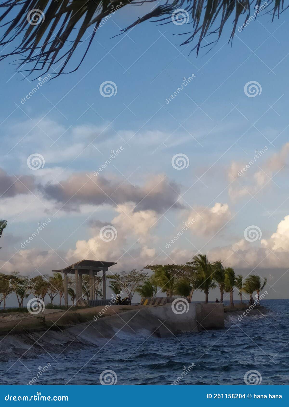Strong Wind Blowing on the Beach Stock Photo - Image of morning, wind ...