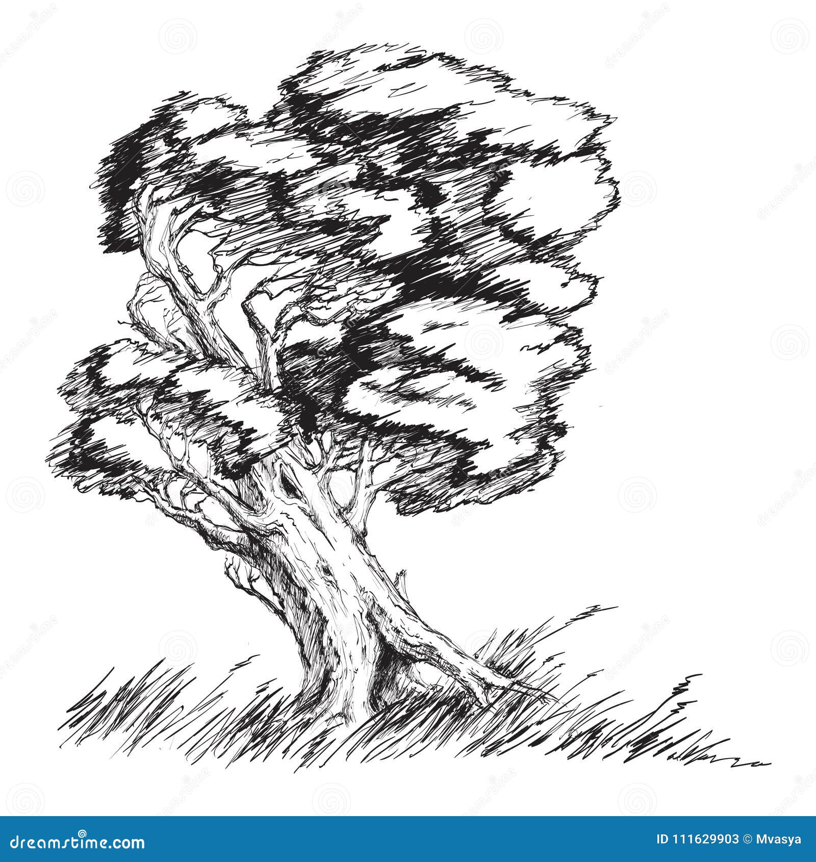 Strong Wind Tree Hand Drawn Illustration Stock Vector - Illustration of ...