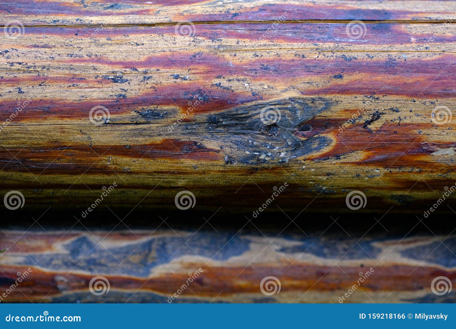 Strong Wooden Logs, Ecological Material Stock Photo - Image of building ...