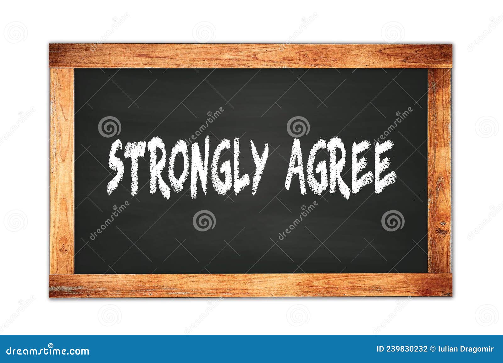 STRONGLY AGREE Text Written on Wooden Frame School Blackboard Stock ...