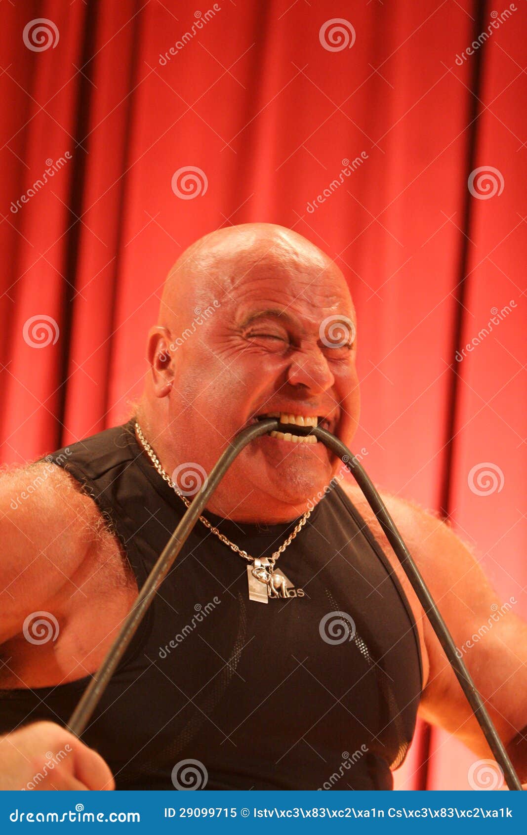 Strongman editorial image. Image of pectorals, bodybuilding - 29099715