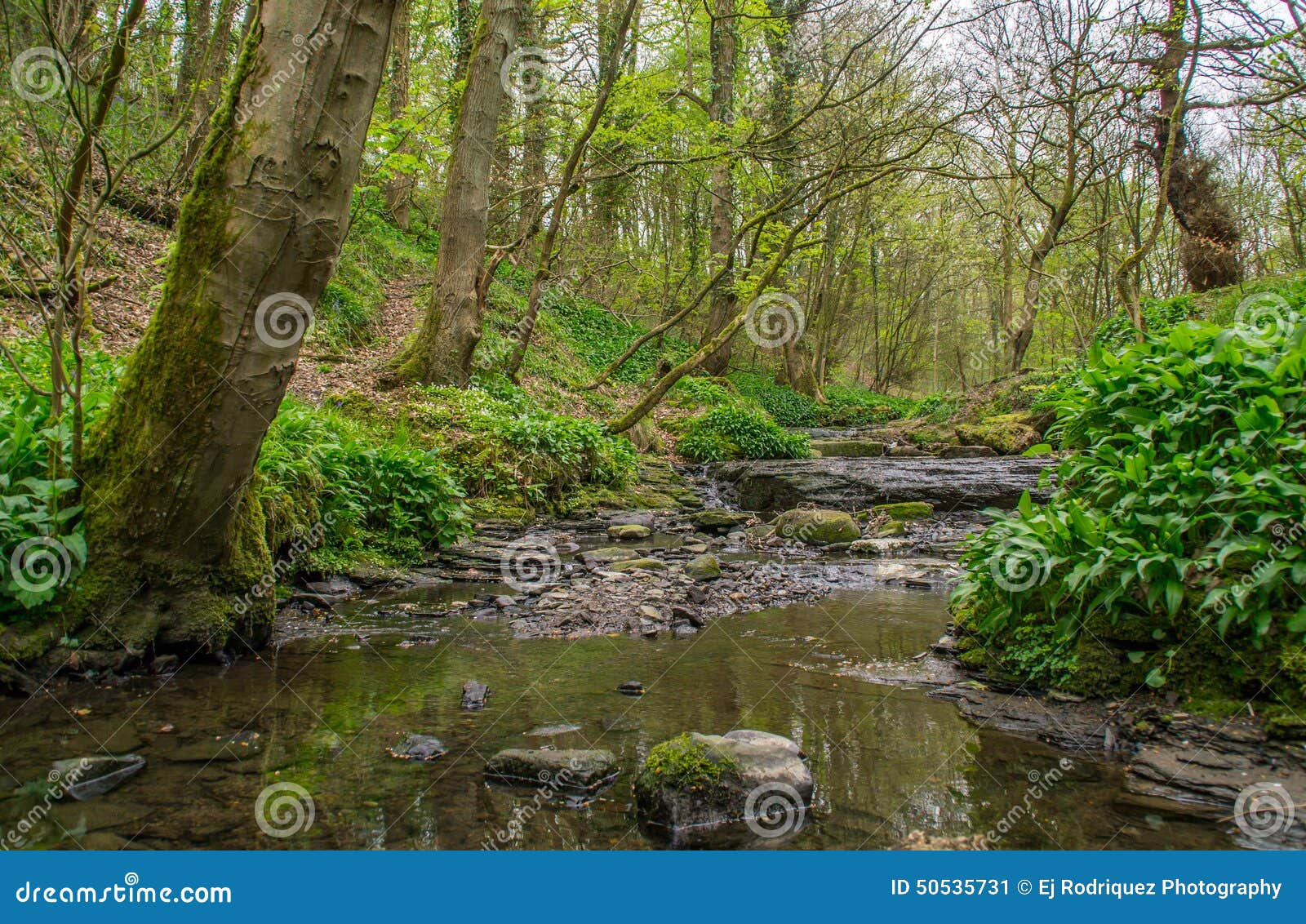 Stroom in Het Hout Van De Portier Stock Afbeelding - Image of rust ...