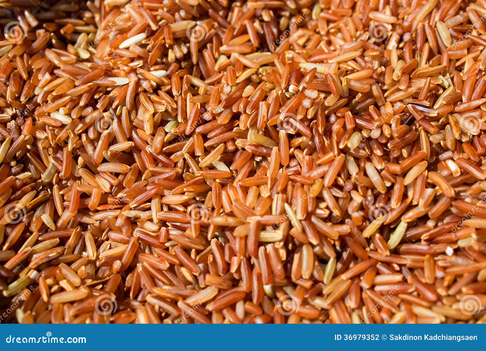 Stroplaat Met Long-grain Rode Rijst Stock Foto - Image of voedsel ...