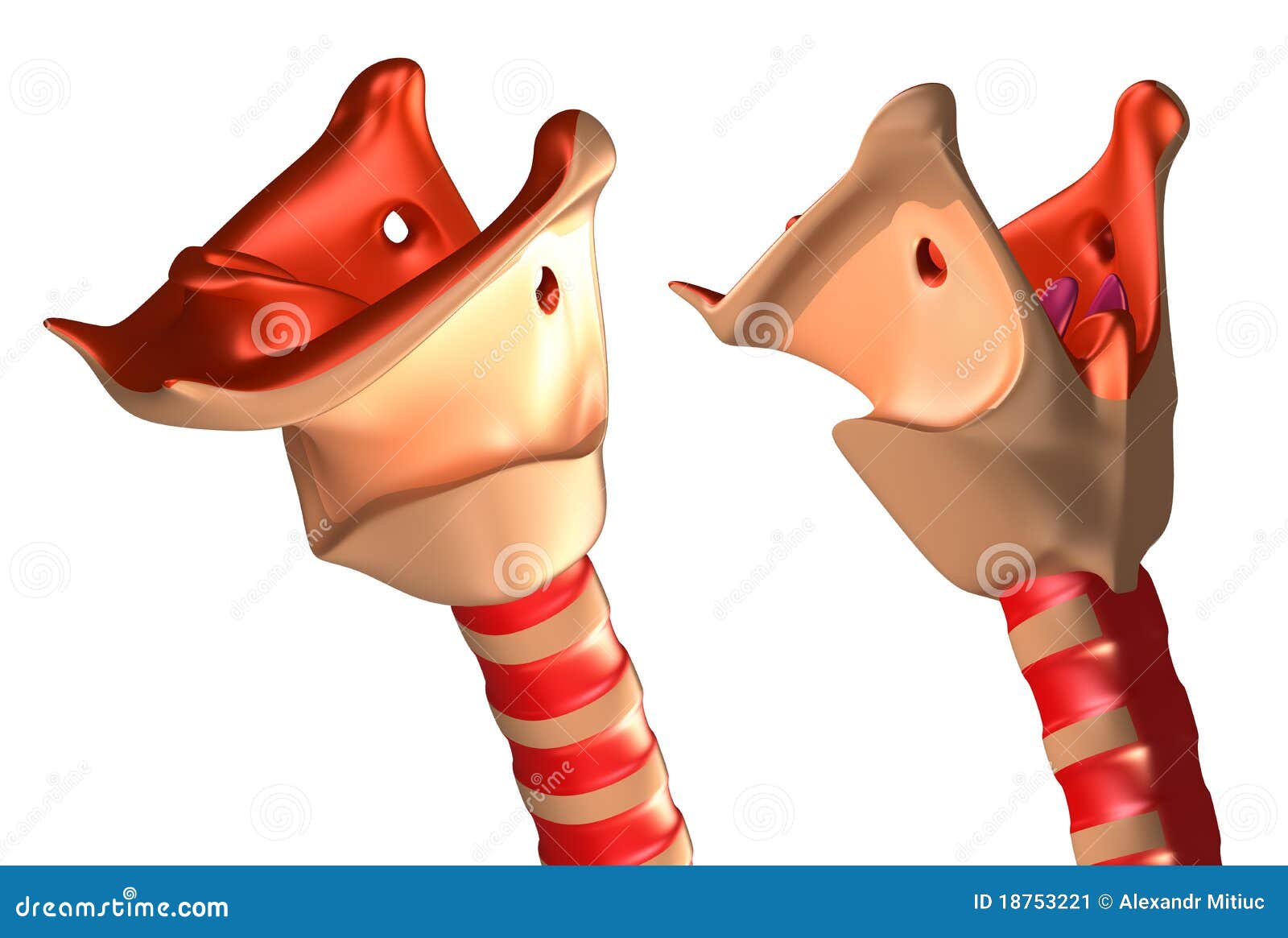 Strottehoofd Met Trachee En Stembanden Stock Illustratie - Illustration ...