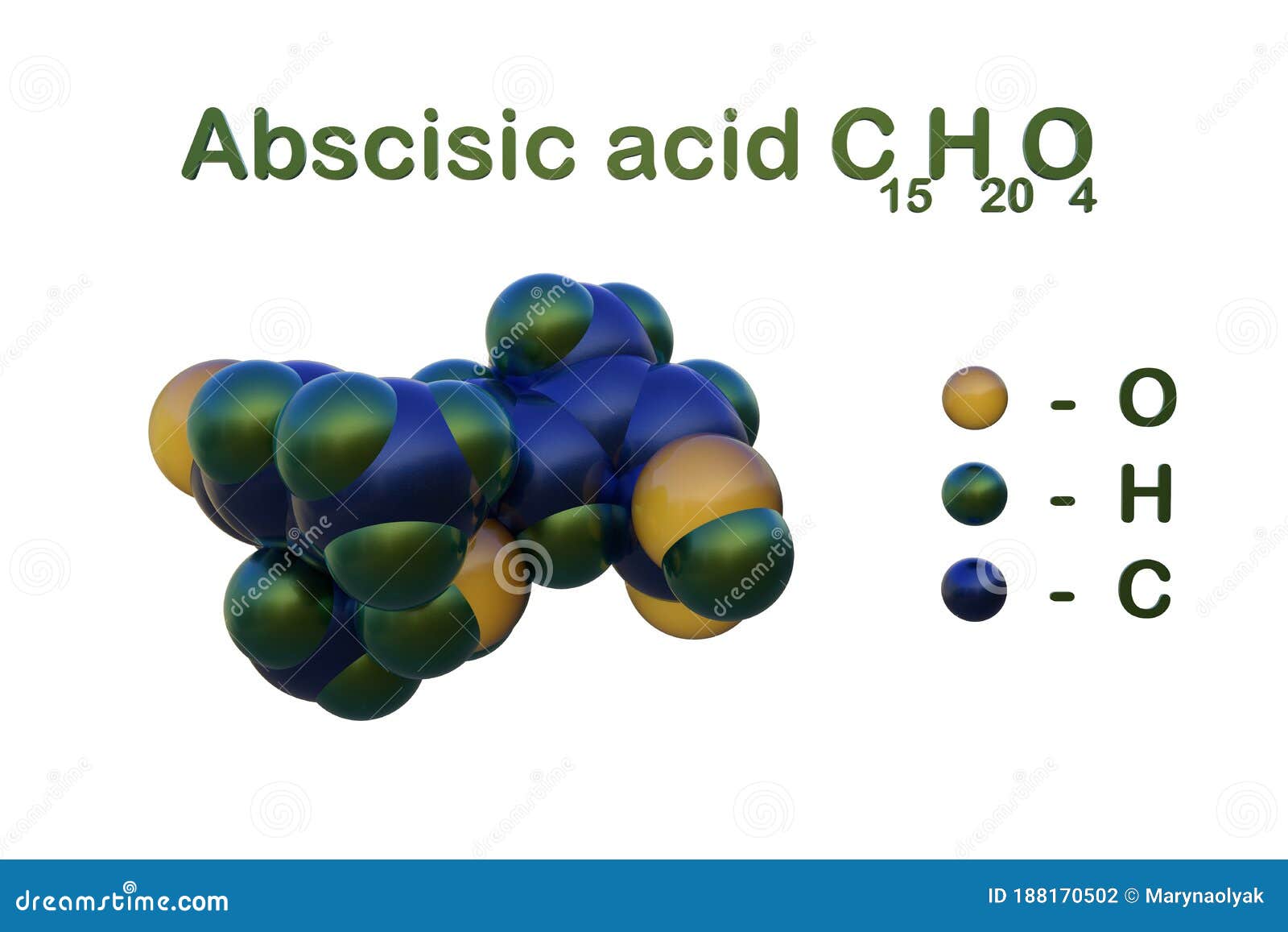 Abscisic Acid Model