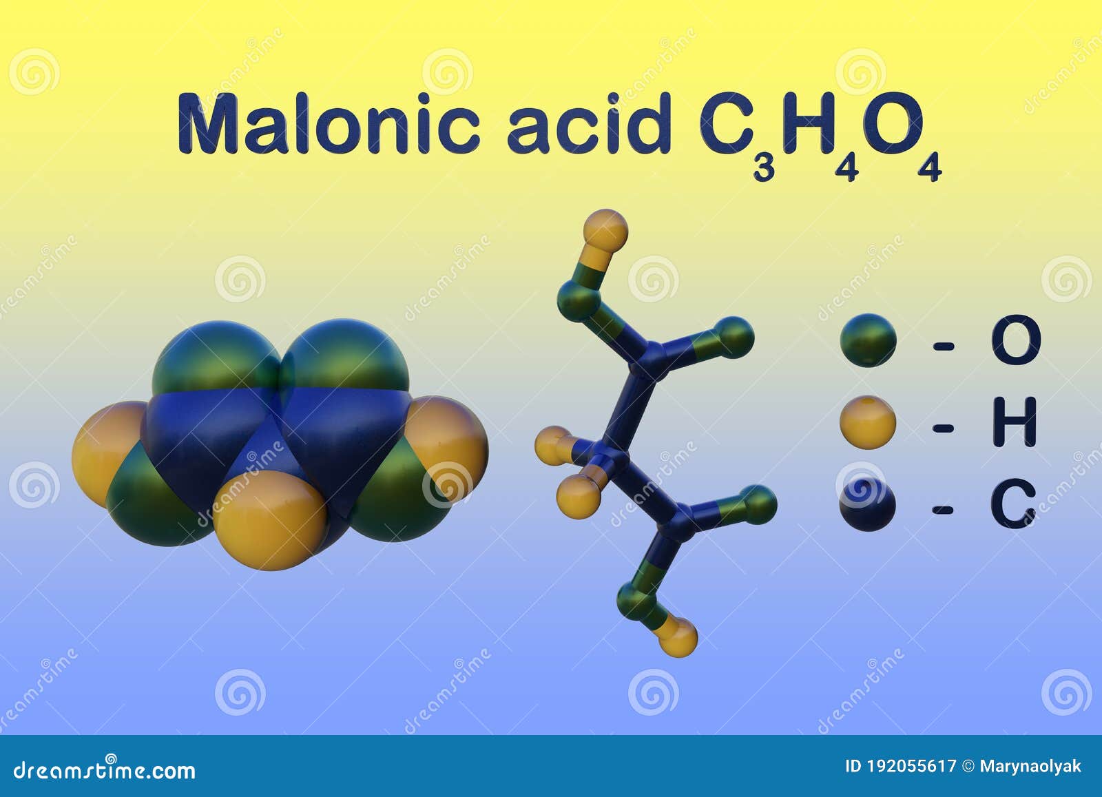 Structural Chemical Formula and Molecular Model of Malonic Acid, Also ...
