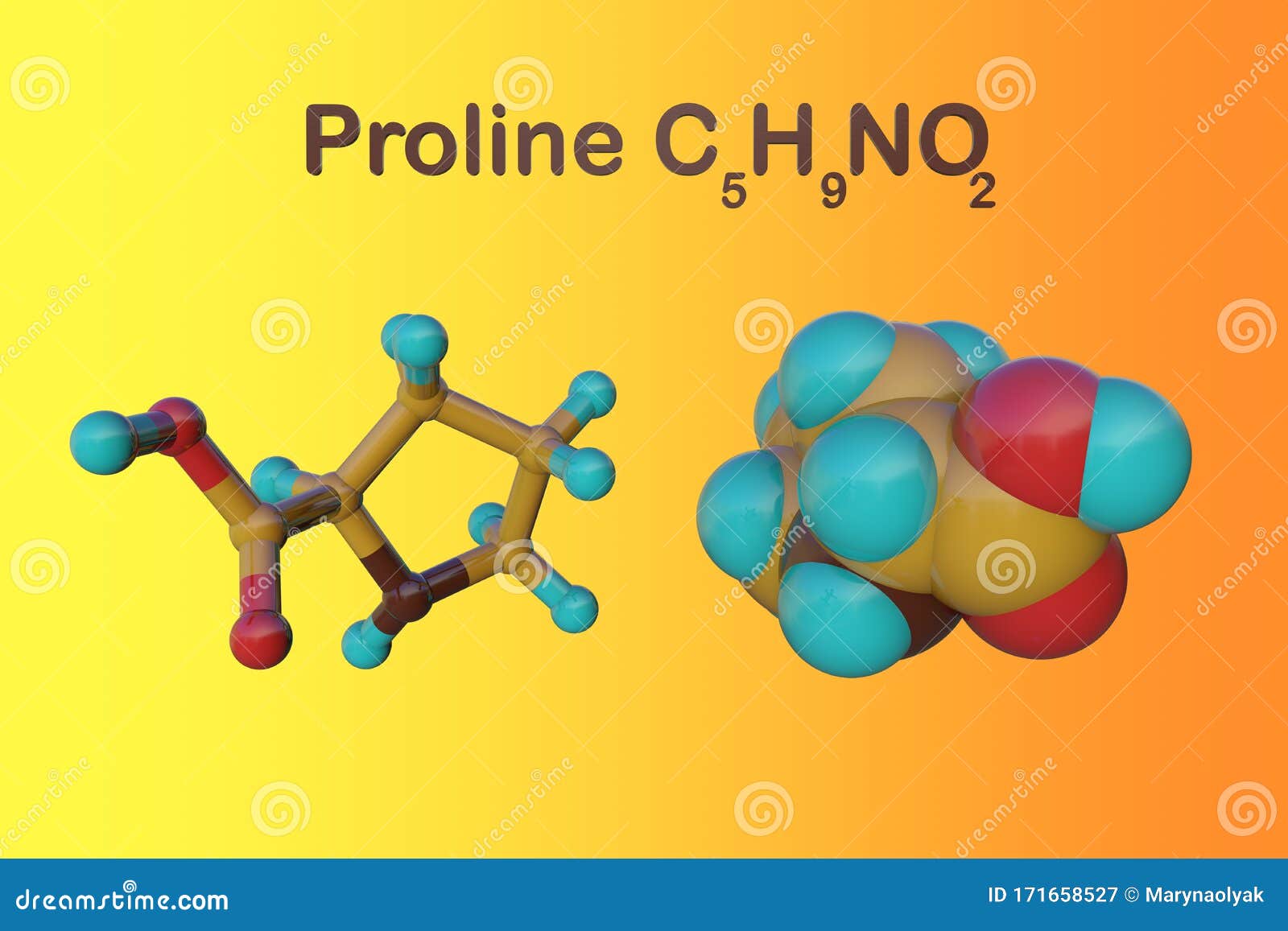 Structural Chemical Formula and Molecular Model of Proline. Proline is ...