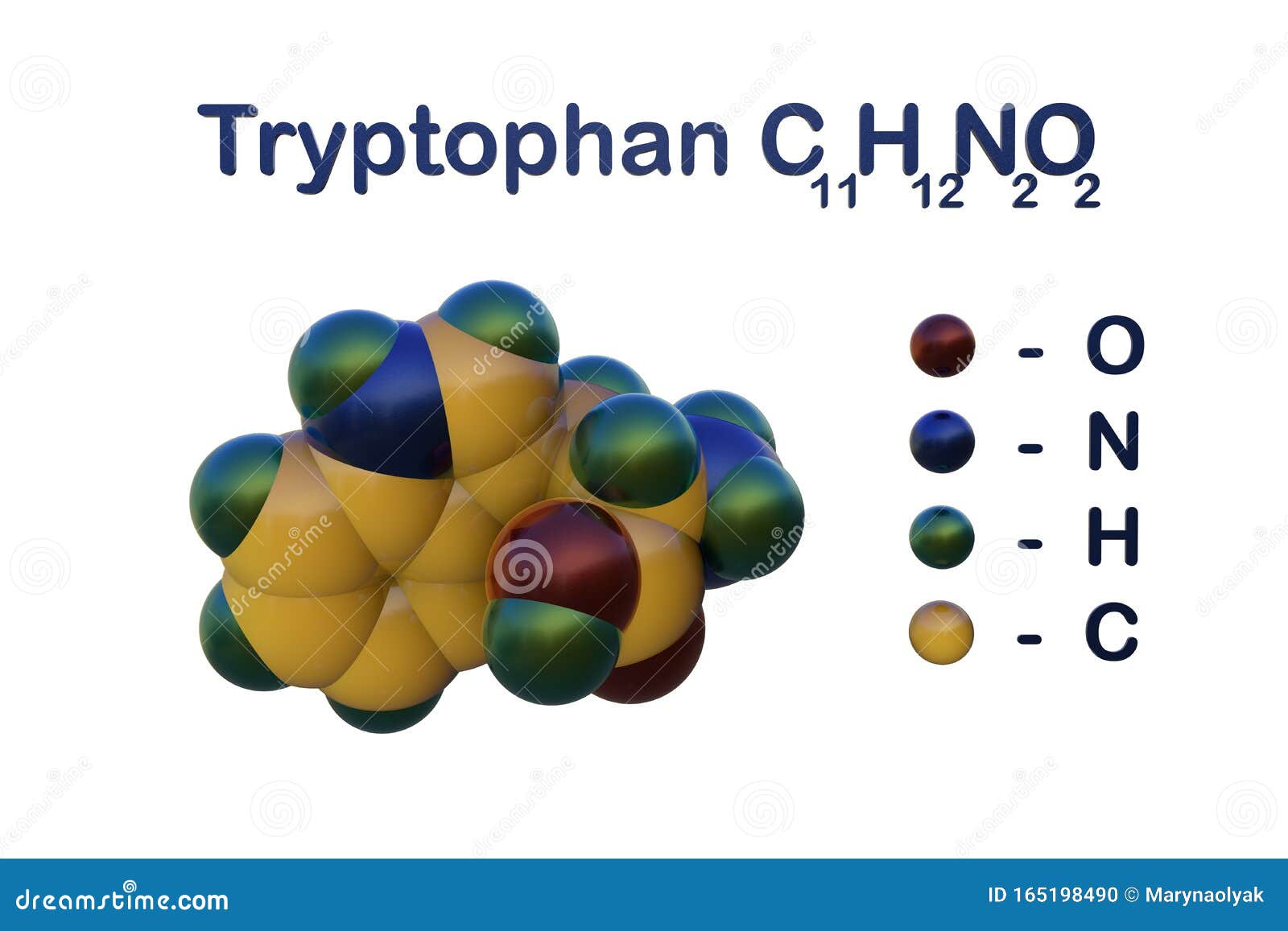 Tryptophan. Chemical Structural Formula And Model Of Molecule Cartoon ... Tryptophan. Chemical Structural Formula And Model Of Molecule Cartoon ...