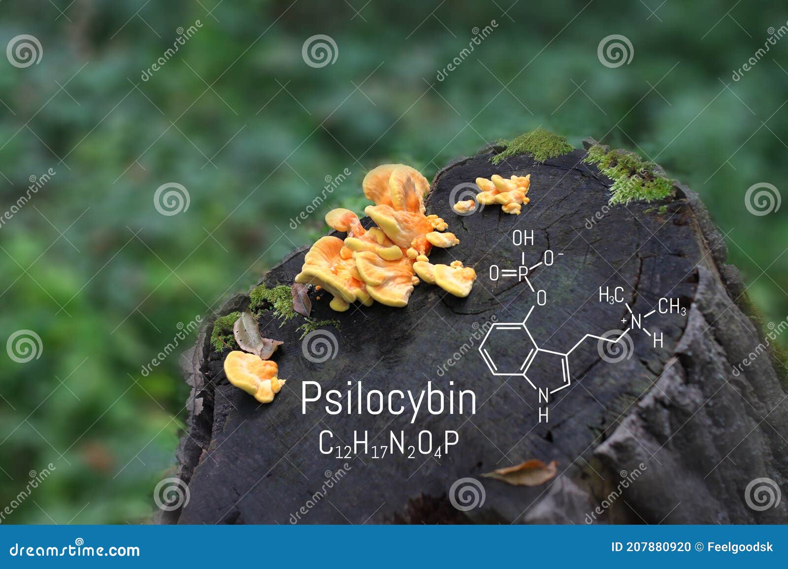 Structural Chemical Formula Psilocybin Alkaloid Molecule on a ...