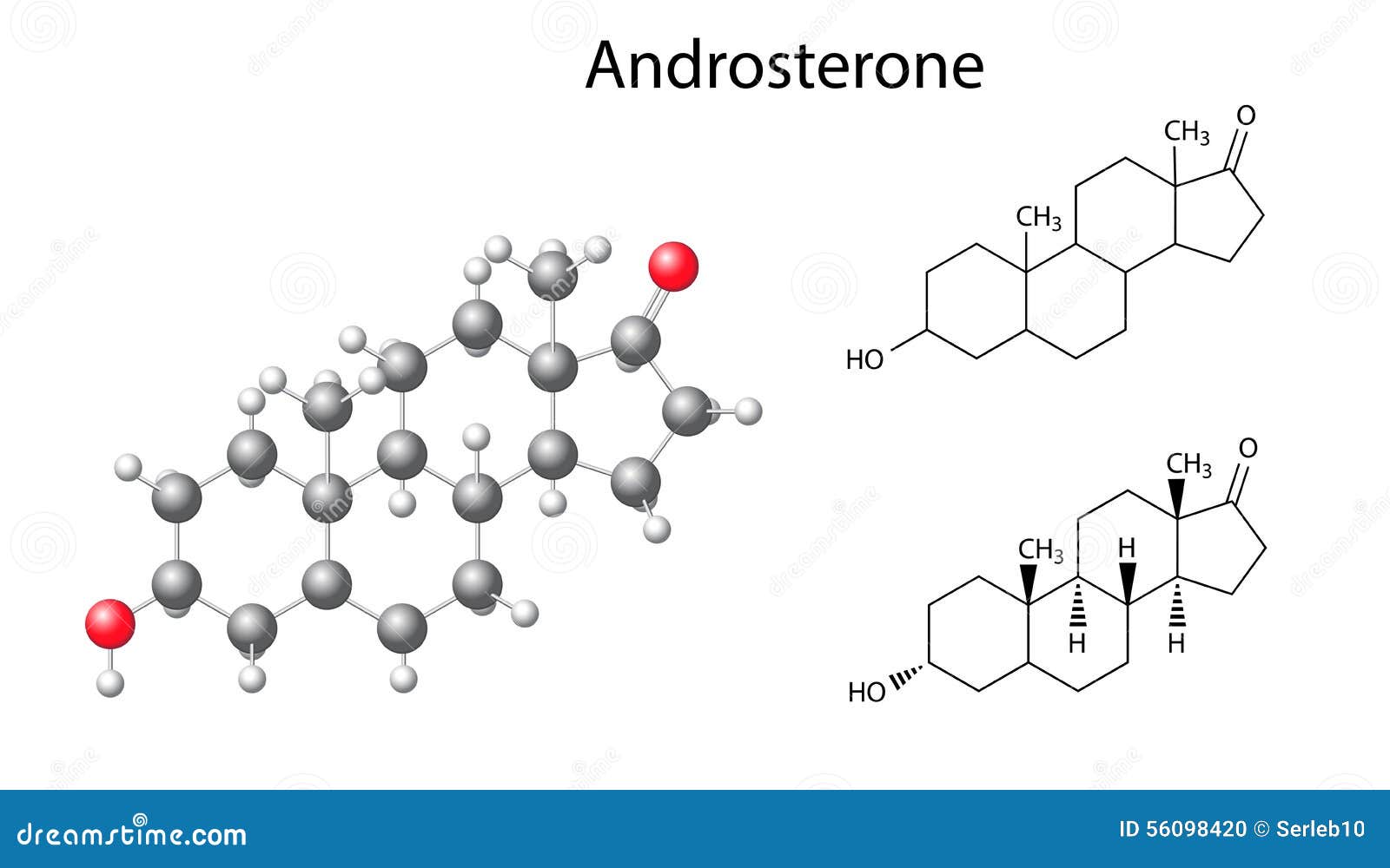 O Que é Androstenediona - LIBRAIN