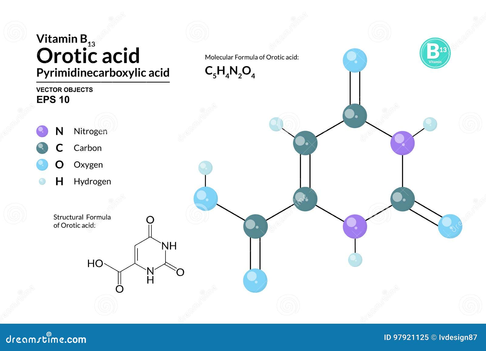 Structural Chemical Molecular Formula and Model of Orotic Acid. Atoms ...