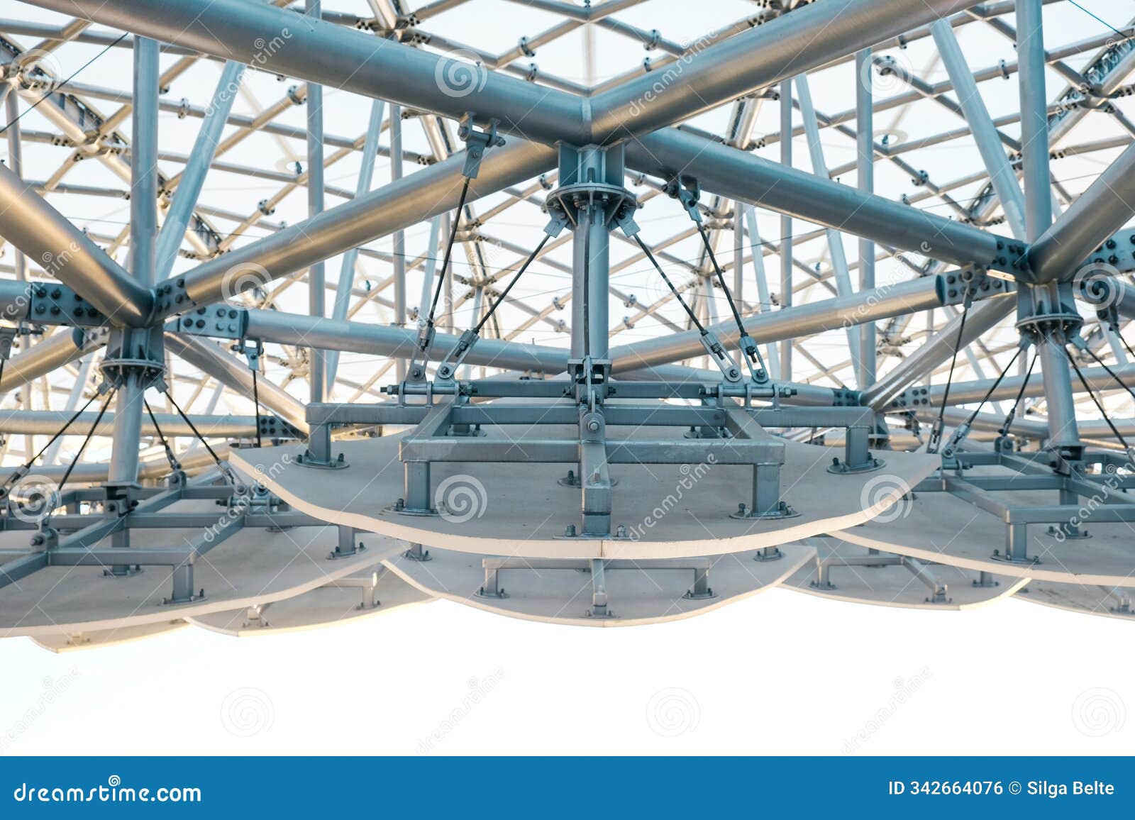 Structural Design of a Large Architectural Canopy Showcasing Intricate ...
