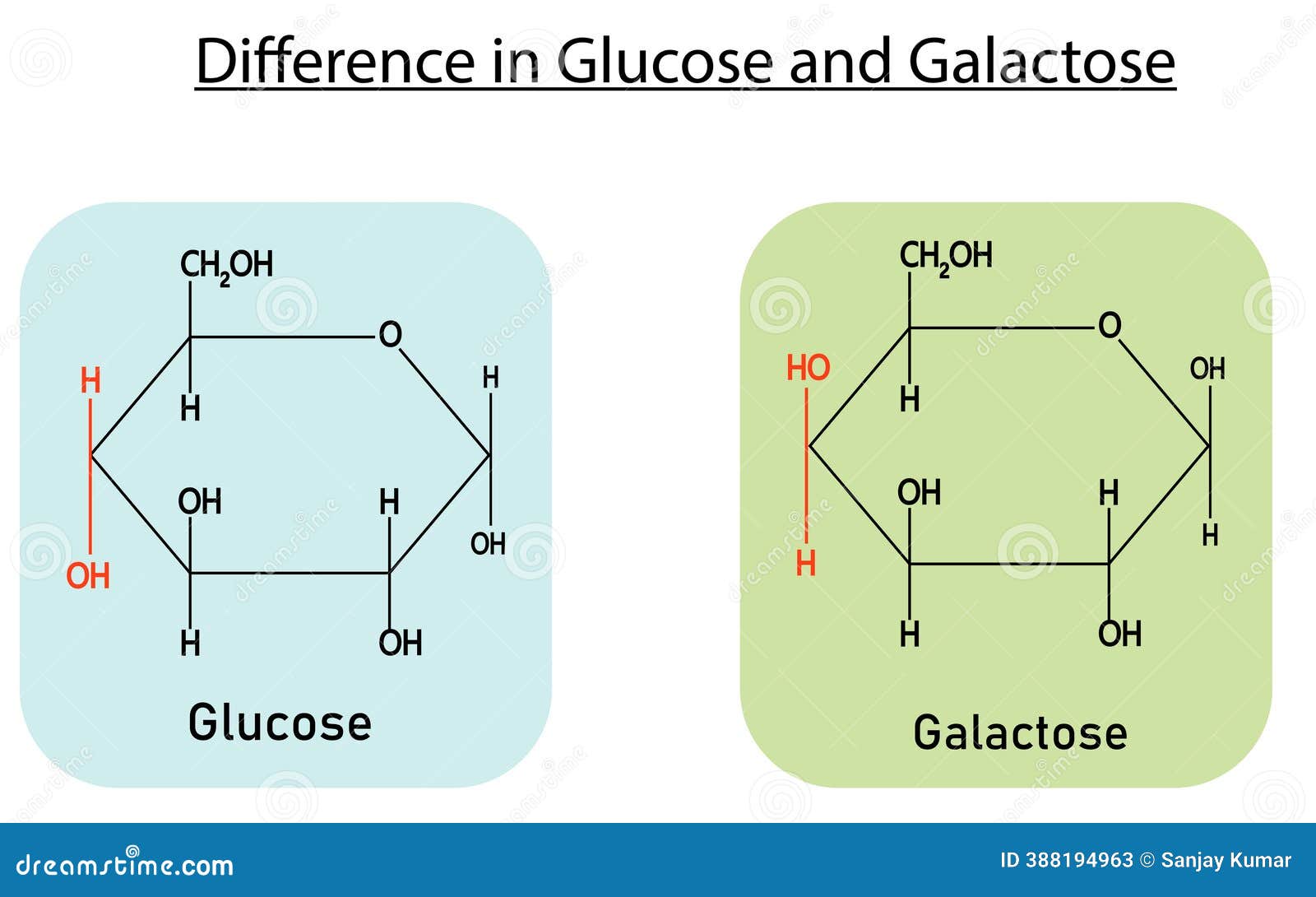 Galactose. Gal. Monosaccharide. Structural Chemical Formula And ...