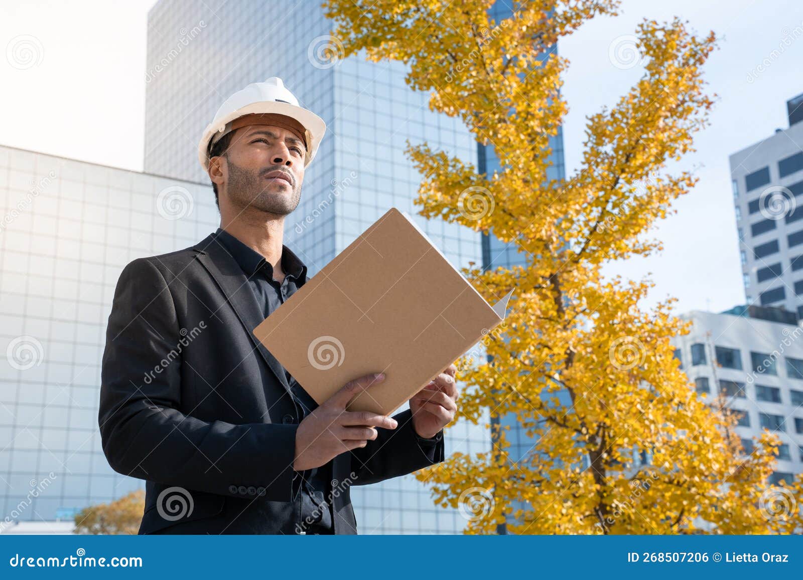 Structural Engineer Architect Checking and Authorize Plans To Work for ...