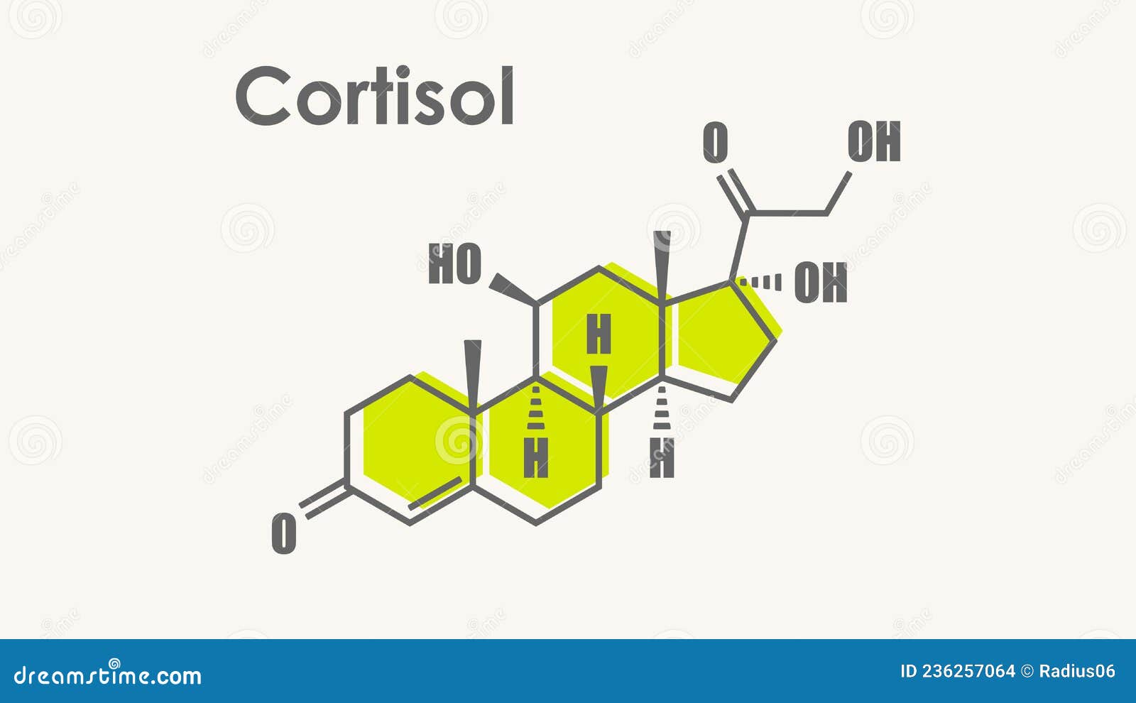Structural Formula Of Human Steroid Cortisol Hormone Stock Vector