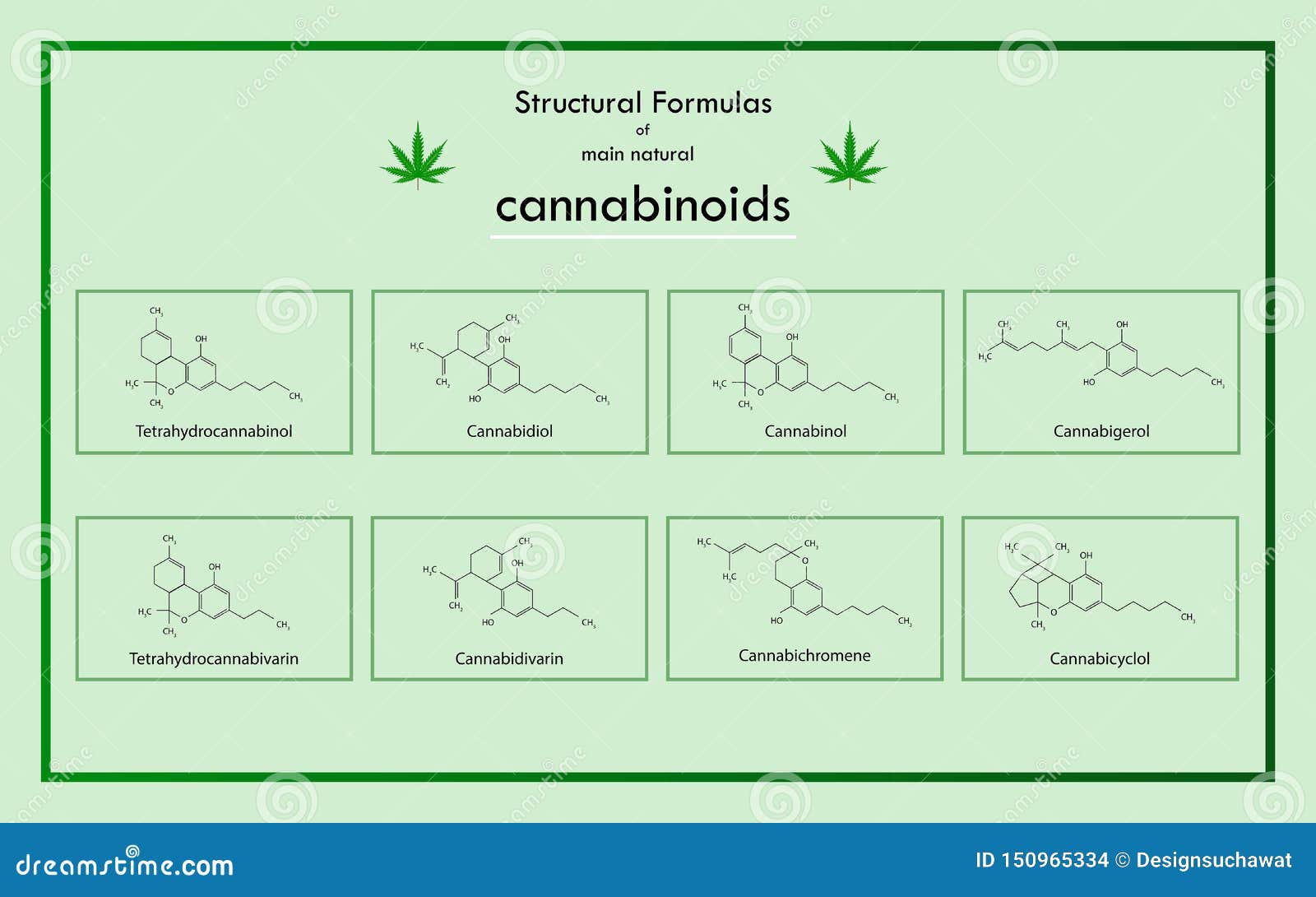 Structural Formulas of Main Natural Cannabinoids Stock Illustration ...