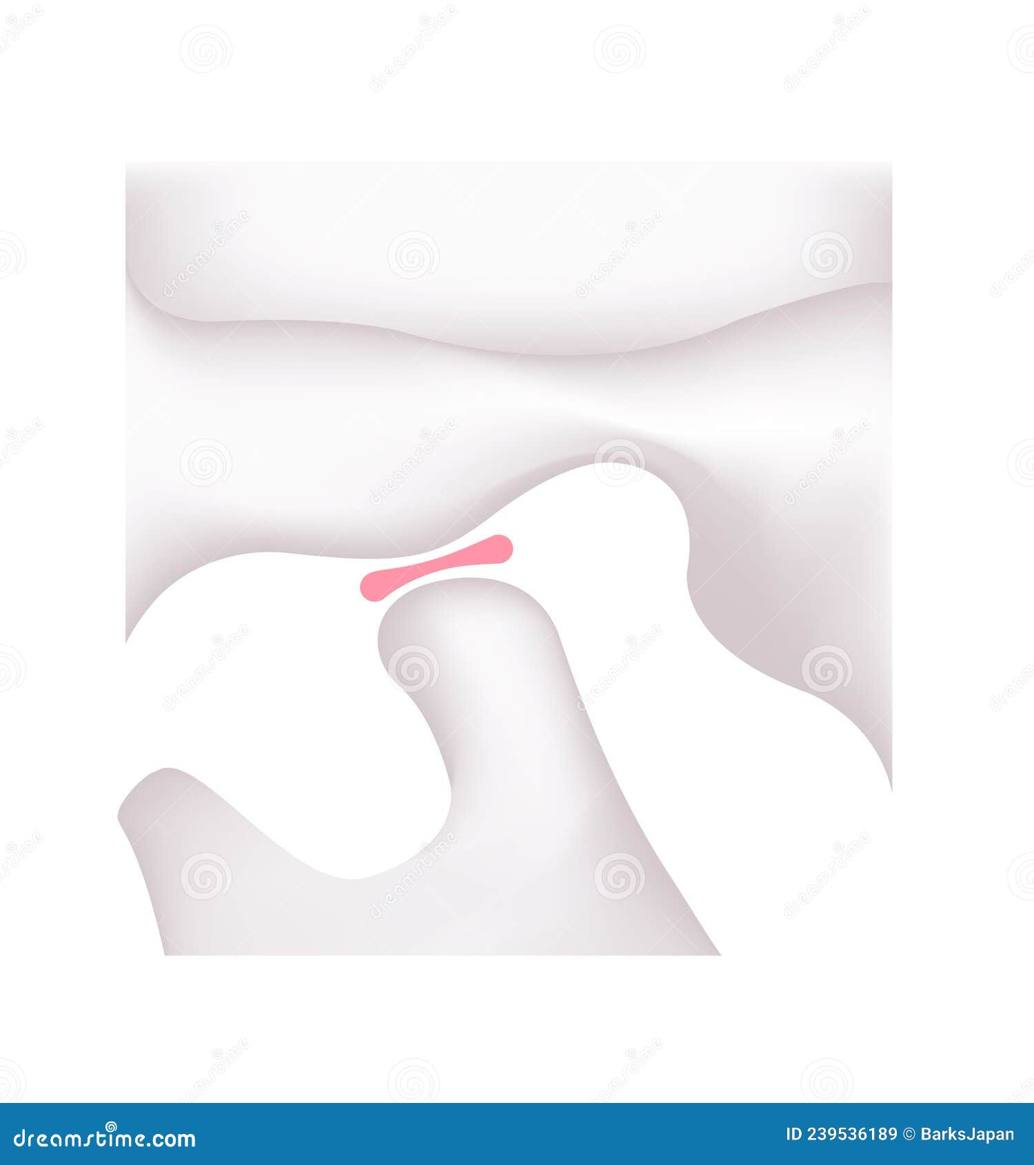Structural Illustration of Human`s Jaw Open Stock Vector - Illustration ...