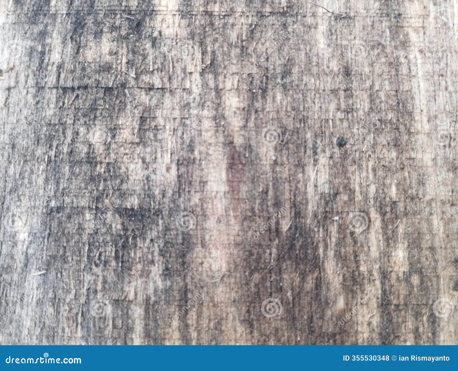 The Structure of Albasia Wood is Quite Dense with a Straight Grain ...