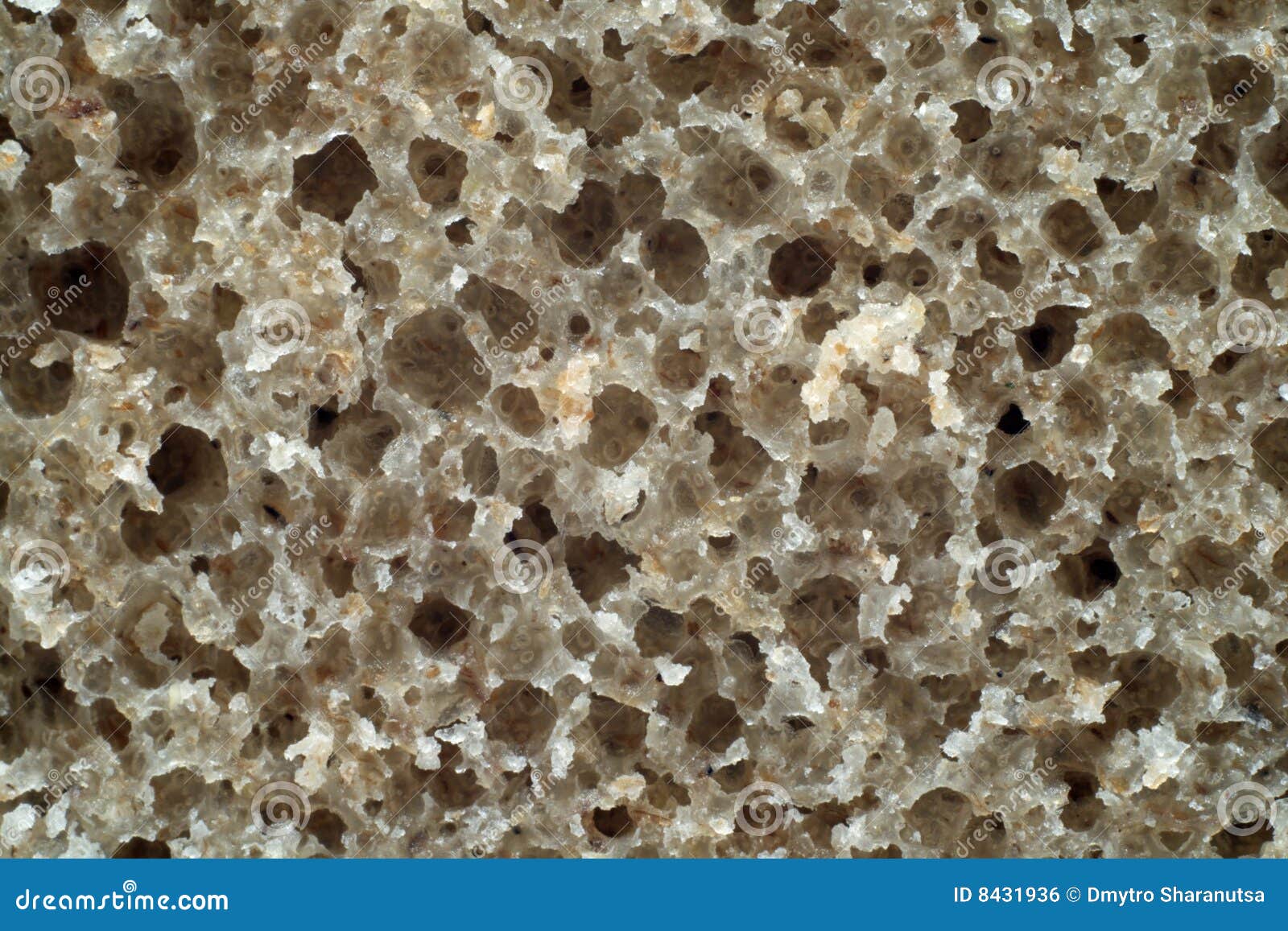 Structure of the bread stock photo. Image of floury, voids - 8431936