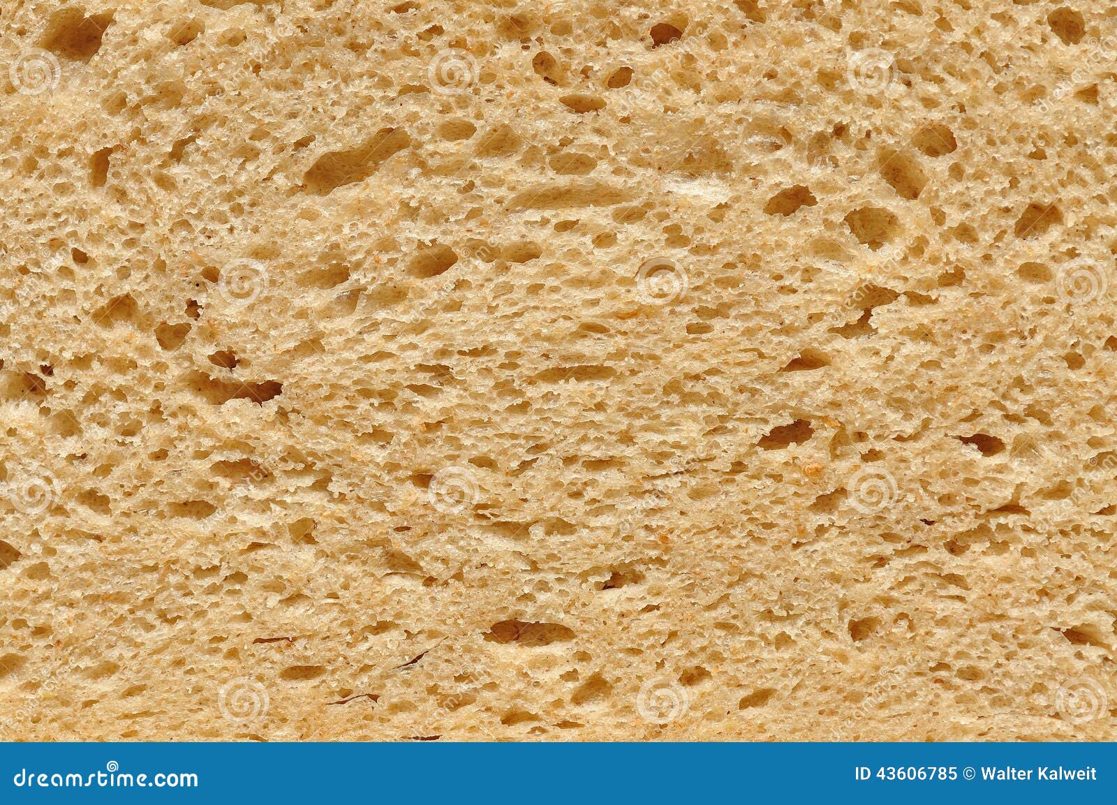 The structure of bread stock image. Image of burnt, holes - 43606785