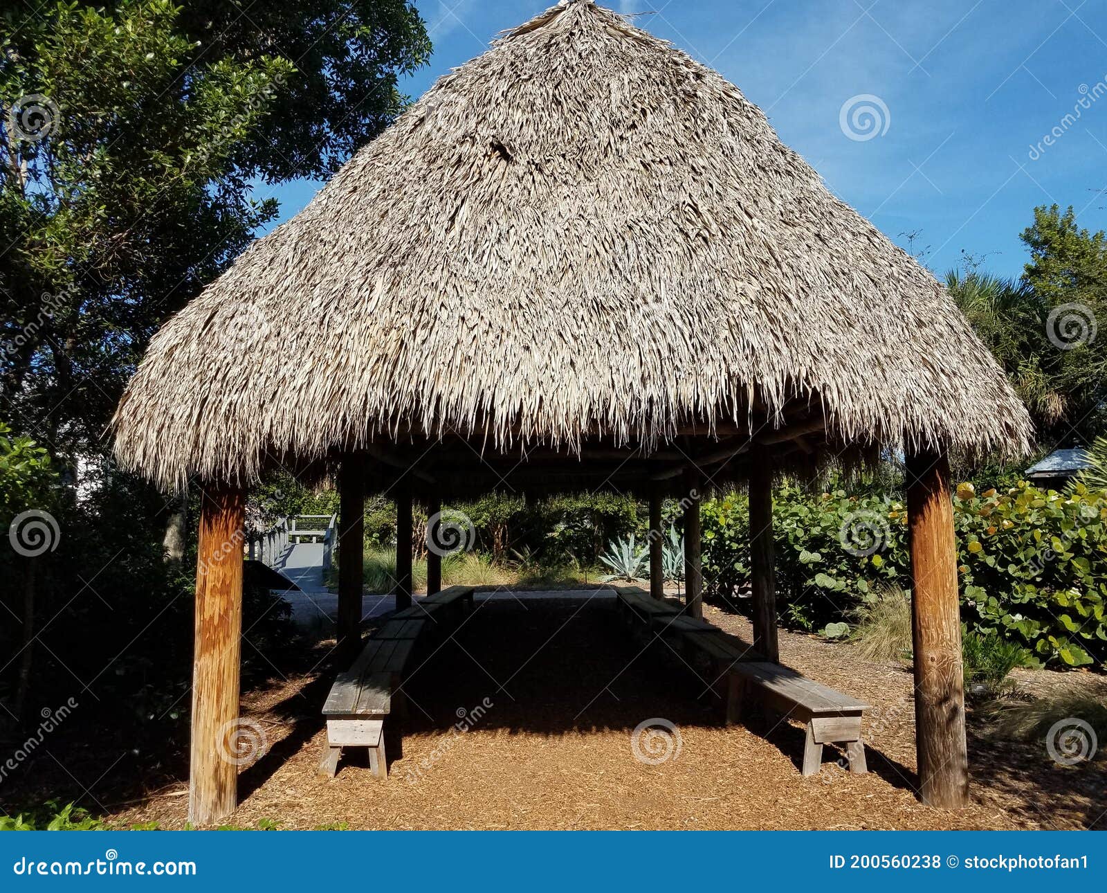 Structure or Building with Grass Roof and Wood Benches Stock Photo ...