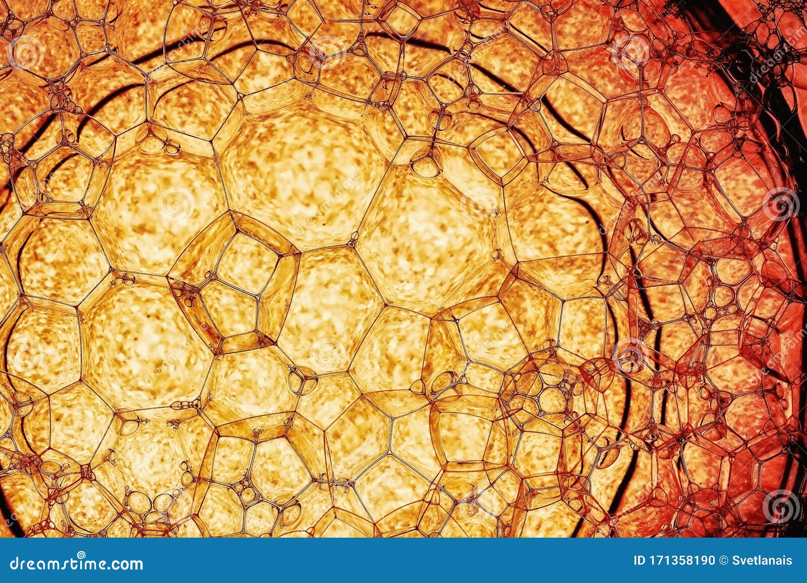 Structure Cell Membrane. Abstract Molecule Sctructure, Golden Glow ...