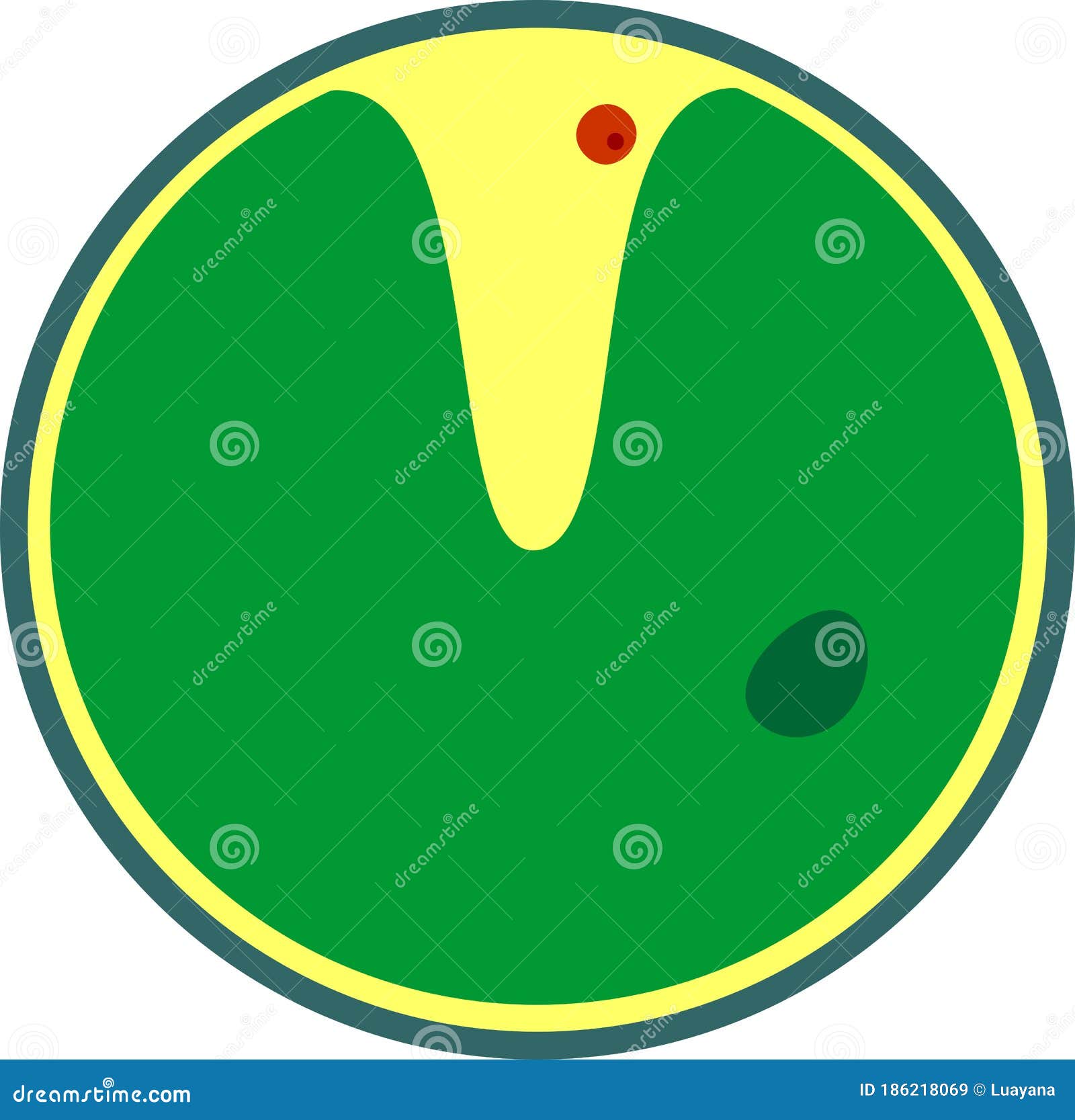 Structure of Chlorella Single-celled Green Algae Stock Vector ...
