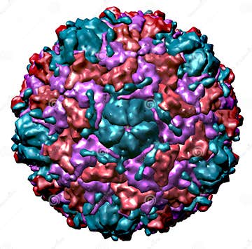 Structure of cold virus stock illustration. Illustration of cold - 408673